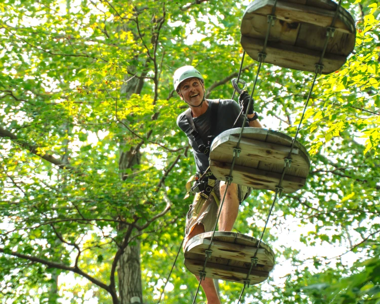 Treetop Trekking Deals | Adventure Awaits at a Great Price